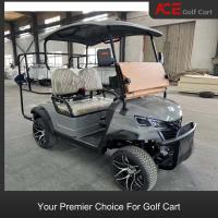 China 2 Seat Capacity Motorized Golf Buggy With Comfortable Artificial Leather Seat for sale