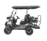 China ACE-6 6 Seater Electric Golf Cart 80-100km Range 4000W Motor Lithium Battery Sun Canopy for sale