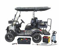 China ACE 6-Seater Electric Golf Cart 4000W Motor 35km/h Top Speed Lithium Battery for sale