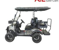 China ACE 6-Seater Electric Golf Cart 4000W Motor 80-100km Range White Leather Seat for sale