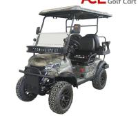 China ACE-4 Electric Golf Cart 4000W 6 Seater 80-100km Range Lithium Battery 35km/h for sale