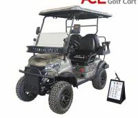 China ACE-6 6 Seater Electric Golf Cart 80-100km Range 4000W Motor Lithium Battery Sun Canopy for sale