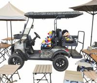 China ACE-6 6 Seater Electric Golf Cart 4000W Motor 80-100km Range Lithium Battery for sale