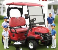 China ACE 6 Seater Electric Golf Cart 4000W Motor Lithium Battery 80-100km Range for sale