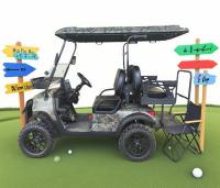 China ACE ACE-6 6 Passenger Lithium Electric Golf Cart 4000W 80-100km Range Sun Canopy for sale