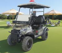 China ACE ACE-6 6 Passenger Lithium Electric Golf Cart 4000W 80-100km Range Sun Canopy for sale