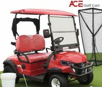 China ACE 6-Seater Electric Golf Cart 4000W Motor 80-100km Range White Leather Seat for sale