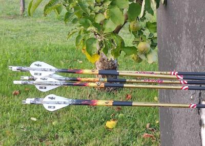 China Carbon Fiber Archery Arrows .165