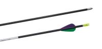 China Youth Carbon Fiber Arrows 0.245