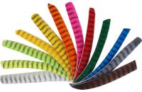 China Natural Turkey Feathers for Arrows 2 to 5 Inches Parabolic and Shield Cut Solid and Barred for sale