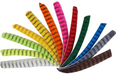 China Natural Turkey Feathers for Arrows 2 to 5 Inches Parabolic and Shield Cut Solid and Barred for sale
