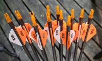 China Custom Logo Printed Carbon Arrows 30 Inch Hunting Target Arrows Crossbow Bolts for sale