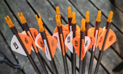 China Custom Logo Printed Carbon Arrows 30 Inch Hunting Target Arrows Crossbow Bolts for sale