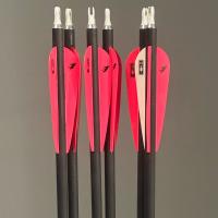 China 3D Indoor Archery Tour Target Arrows 250 300 340 400 Spine Carbon Fiber for sale