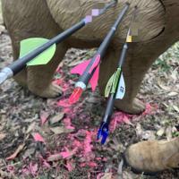 China 3K Crosswoven Fiber Large Diameter Arrows 23/64 Spine 250-600 Straightness 0.001 Indoor 3D Target for sale