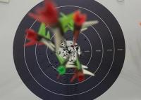 China Carbon Fiber Youth Practice Arrows 0.166