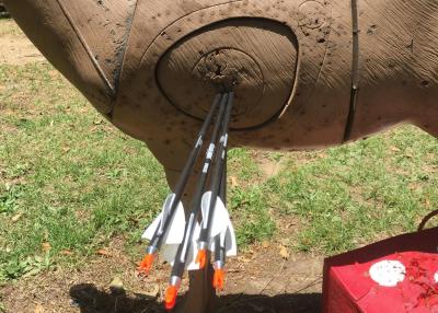 China Blast Carbon Arrows 19/64 Spine 300-600 Straightness 0.001-0.003 for 3D Target Indoor Archery for sale