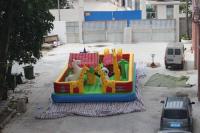 China 0.55 mm PVC Tarpaulin Outdoor Playground Inflatable Amusement Park Of Animal Theme for sale