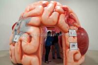 China Inflatable Brain Model Tent Inflatable Medical Conferences Exhibitions - Mega Brain for sale