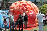 China Inflatable Brain Model Tent Inflatable Medical Conferences Exhibitions - Mega Brain for sale