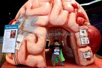 China Inflatable Brain Model Tent Inflatable Medical Conferences Exhibitions - Mega Brain for sale