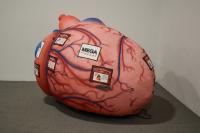 China Inflatable Human Organs Giant Brain Heart Lungs For Teaching Medical Activities Display for sale