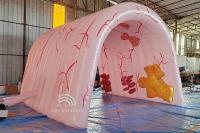 China Custom Giant  Inflatable Lungs Medical Event Theme Advertising Human Organ Large Colon Tube Model for sale