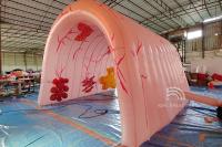 China Custom Giant  Inflatable Lungs Medical Event Theme Advertising Human Organ Large Colon Tube Model for sale
