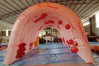 China Custom Giant  Inflatable Lungs Medical Event Theme Advertising Human Organ Large Colon Tube Model for sale