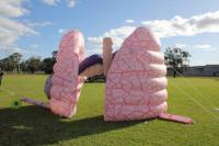 China Giant Inflatable Lung Model Advertising For Medical Exhibition Events for sale