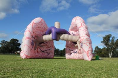 China Giant Inflatable Lung Model Advertising For Medical Exhibition Events for sale