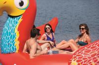 China Giant 6 Person Inflatable Parrot Pool Float 4.8m Long X 4m Wide X 2m High Swiming Toy for sale