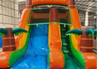 China Kids Outdoor Yard Water Slides Tropical Jungles Inflatable Water Slide With Pool for sale