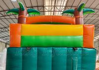 China Kids Outdoor Yard Water Slides Tropical Jungles Inflatable Water Slide With Pool for sale