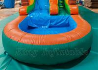 China Kids Outdoor Yard Water Slides Tropical Jungles Inflatable Water Slide With Pool for sale