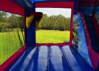China Frozen Elsa Jumping Castle Outdoor Game Inflatable Bounce House For Boys Girls for sale