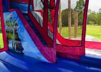 China Frozen Elsa Jumping Castle Outdoor Game Inflatable Bounce House For Boys Girls for sale