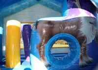 China Frozen Inflatable Bouncer Bouncy Castle Commercial PVC Bounce House For Kids Party for sale