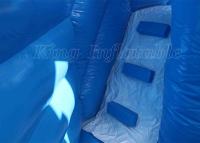 China Frozen Giant Inflatable Castles Fun Game Obstacles Climb Areas Slides Jumping Castle for sale