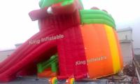 China Beautiful Red Dragon Inflatable Water Slide With Moster Model PVC For Adults for sale