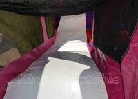 China Princess Jumping Castle Outdoor Kids Party Inflatable Bounce House Combo For Hire for sale