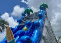 China Large Inflatable Water Slides Blue Outdoor Commercial Grade Inflatable Water Slide for sale