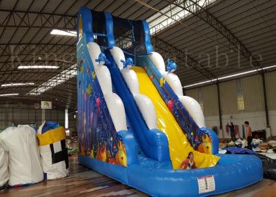 China Children / Adult Blue Inflatable Water Slide With Two Lane 1 Year Warranty for sale