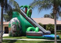 China Inflatable Double Water Slide Adults Commercial Backyard Inflatable Water Slide Rentals for sale