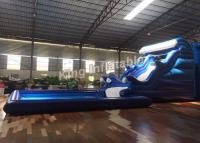 China Blue Dolphin Huge Water Slides Inflatable Durable Plato 0.55 mm PVC Tarpaulin for sale