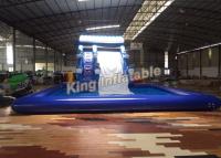 China Blue Dolphin Huge Water Slides Inflatable Durable Plato 0.55 mm PVC Tarpaulin for sale