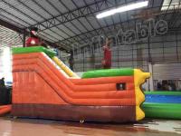 China Amusement Park Slide Durable Inflatable Water Fun Special For Kids / Adults for sale