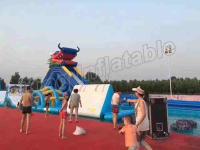 China 2 Years Warranty Animal Inflatable Water Parks With Frame Pool / Cartoon Slide for sale