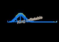 China 11m High Blue Commercial Giant Hippo Inflatable Water Slide For Adult and Kids for sale