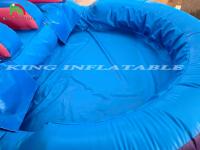 China Popular Commercial Inflatable Water Slides with Pool for sale